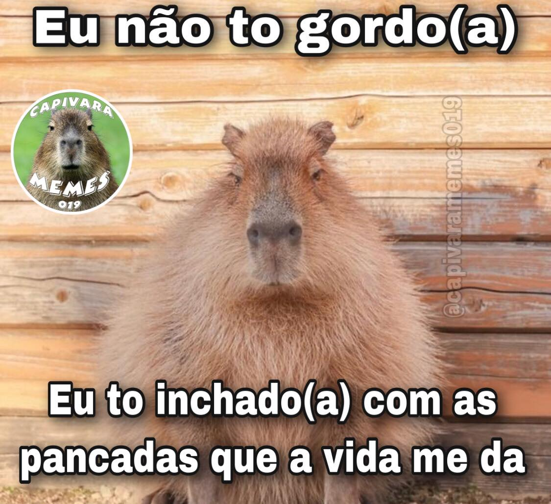 Os memes de capivara são o novo xodó das redes sociais - Pátio Hype